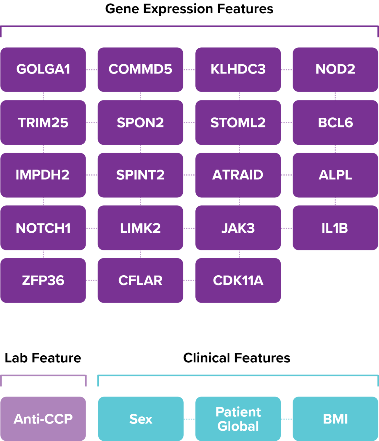 For Physicians - Prism RA