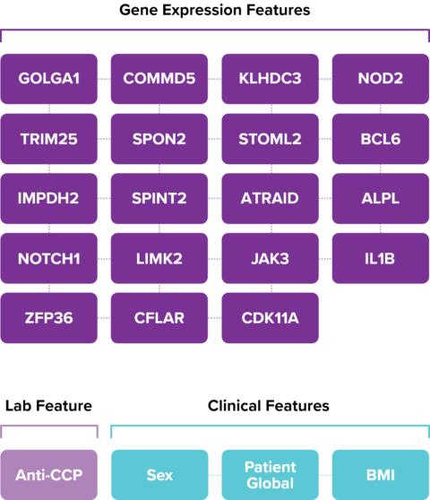 For Physicians - Prism RA